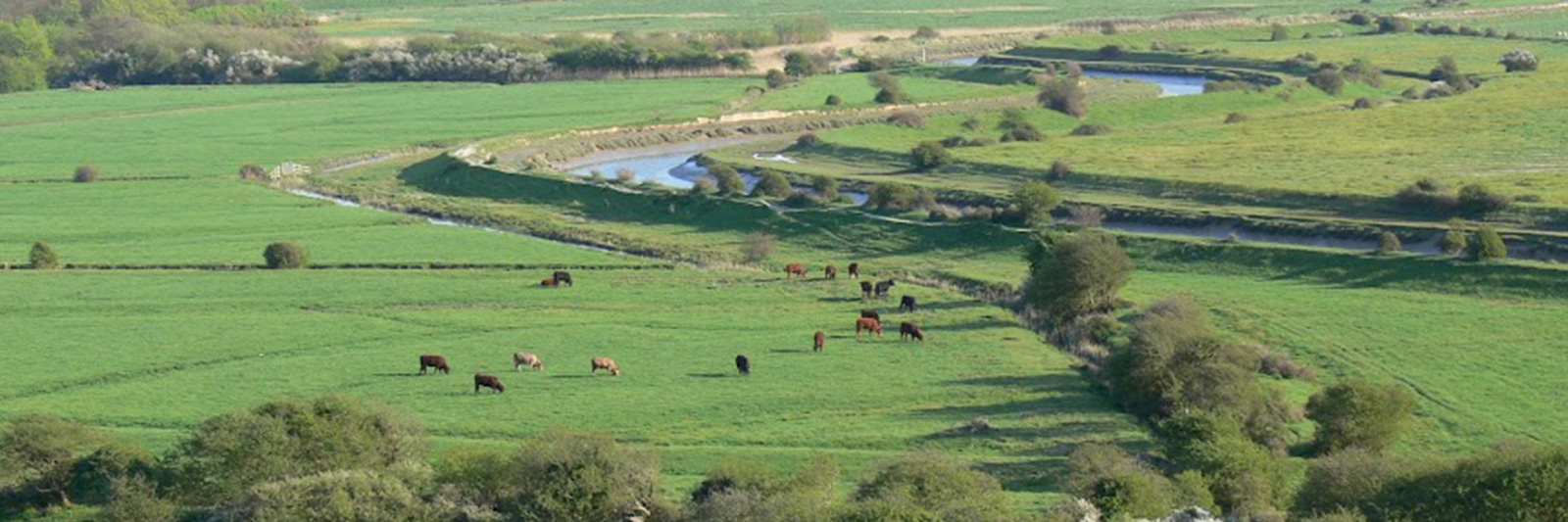 The Chalk Downland - Cuckmere Valley Parish :Cuckmere Valley Parish